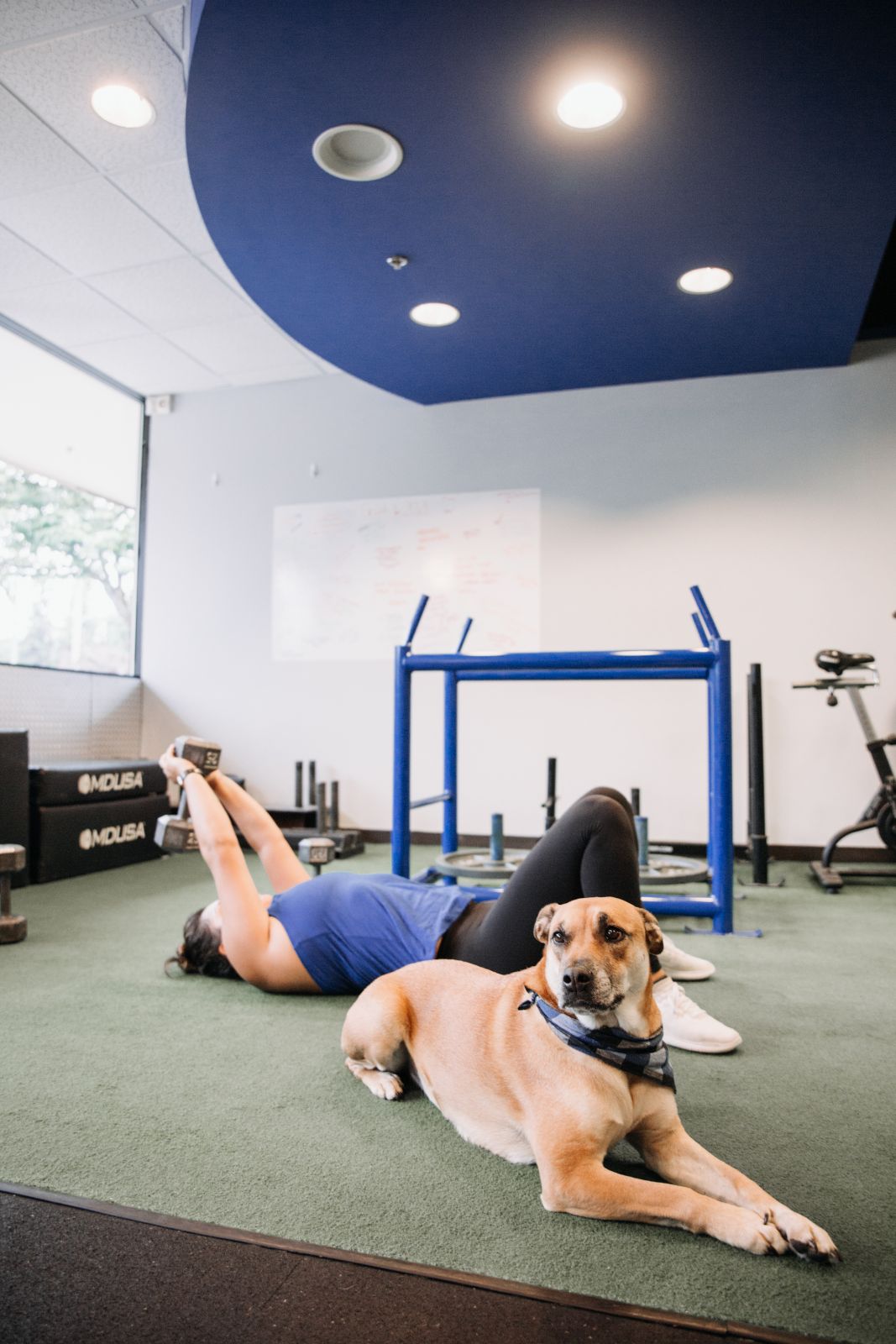 The Gym - Progressive Performance